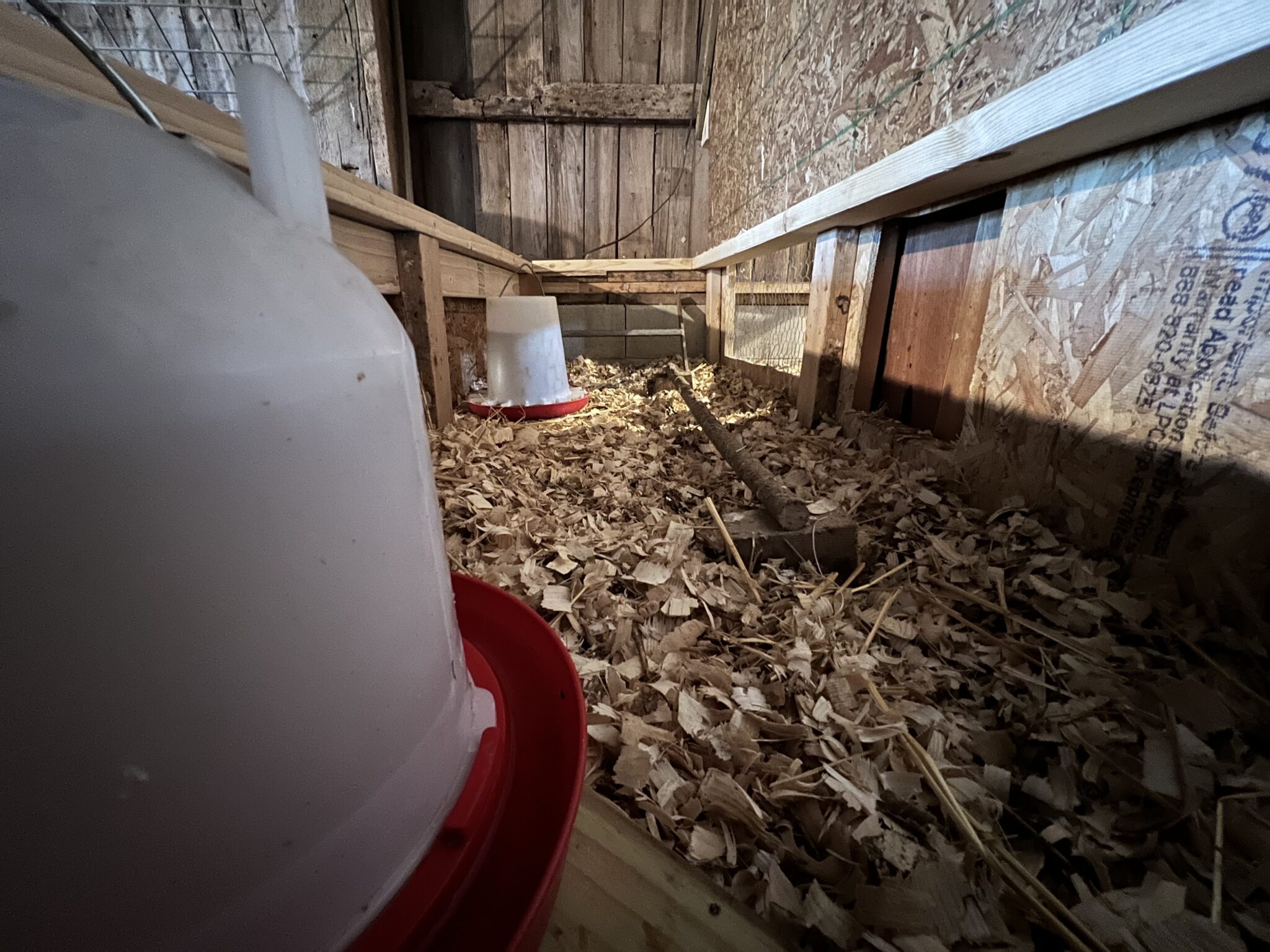 Essentials for Setting Up the Chicken Coop - Life at Metzger Acres